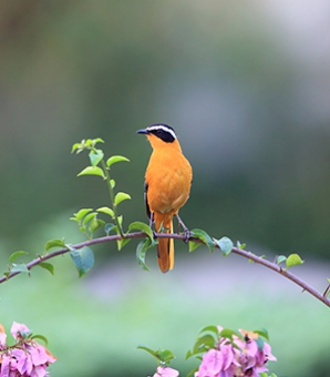 BUHWEJU DISTRICT | LOCAL GOVERNMENT